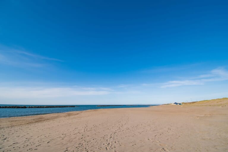 【新潟市西区】大迫力の水上オートバイレースを観戦できる！ 「JJSA 全日本選手権【2nd Stage】新潟県小針浜大会」が開催されます ...